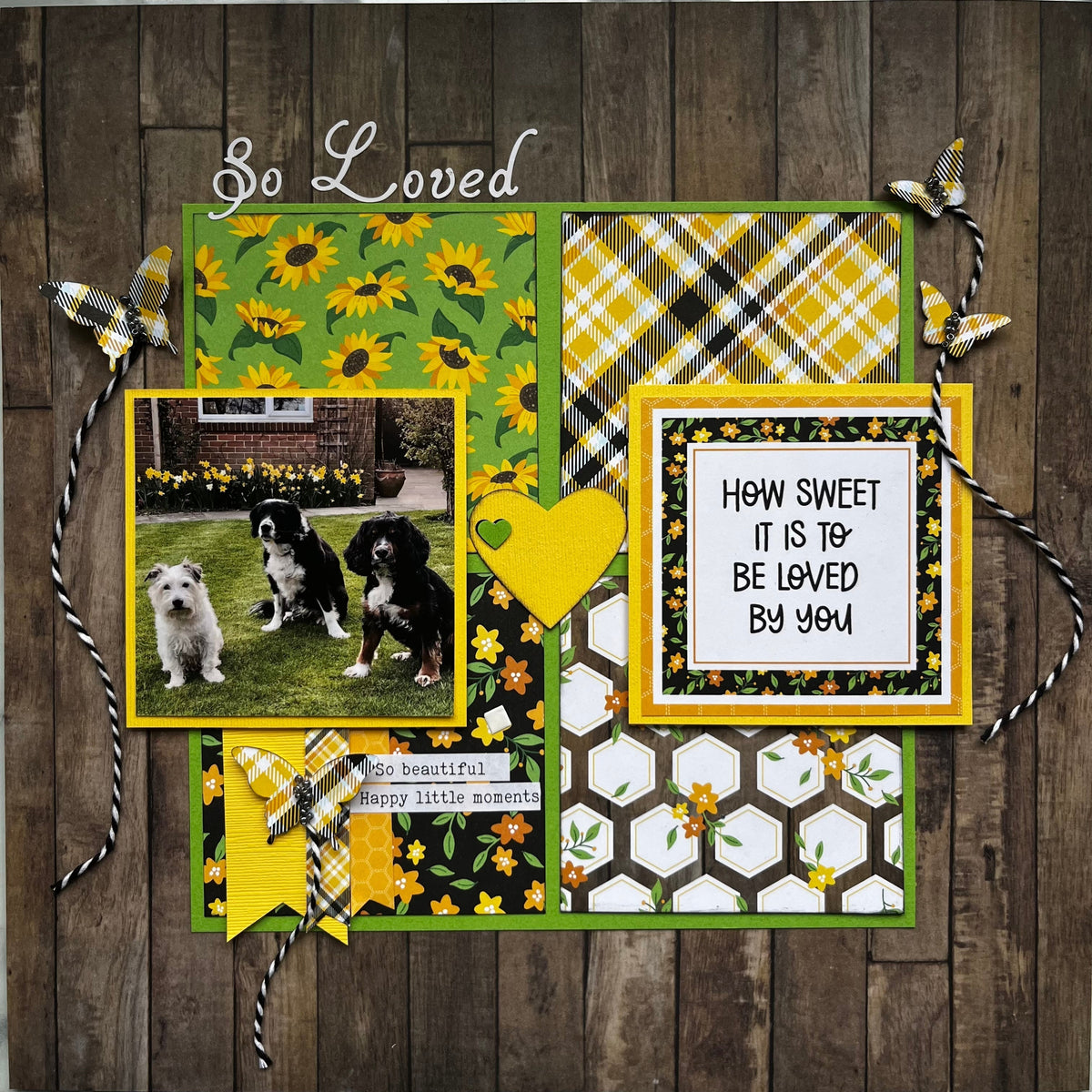 So Loved by ELAINE KING — The Mad Scrapper